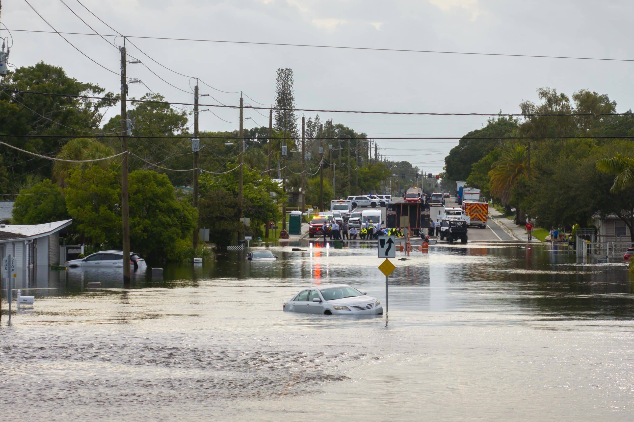 Leptospirosis: The Hidden Threat After Hurricanes in the U.S. - Allied ...